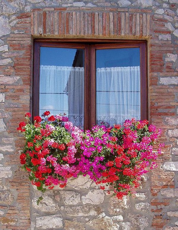Absolutely gorgeous beautiful windows with colorful, magical flowers ...