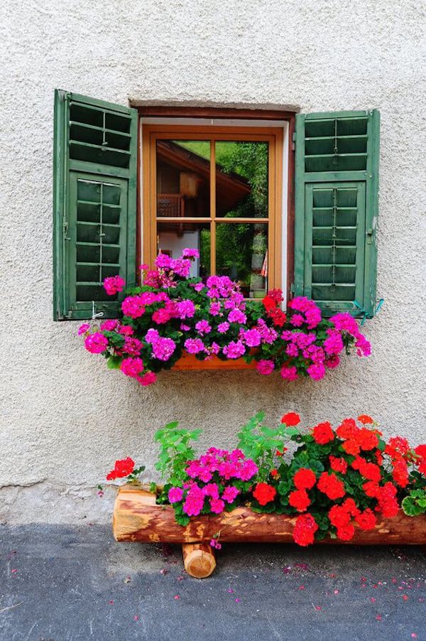 Absolutely gorgeous beautiful windows with colorful, magical flowers ...
