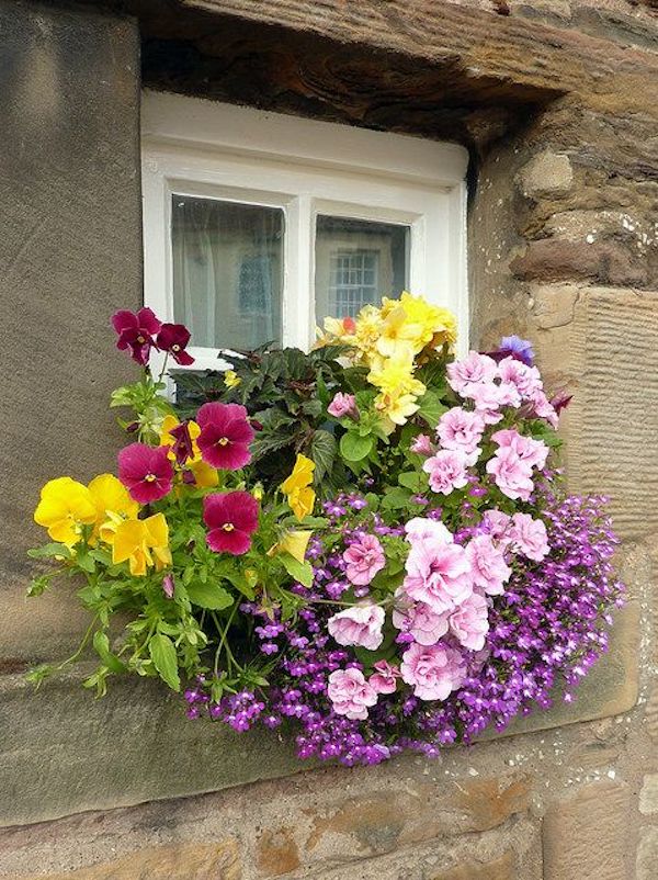 34 Beautiful ideas to decorate the yard and garden with colorful ...