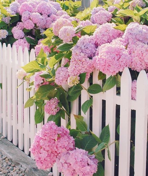 34 Beautiful ideas to decorate the yard and garden with colorful ...