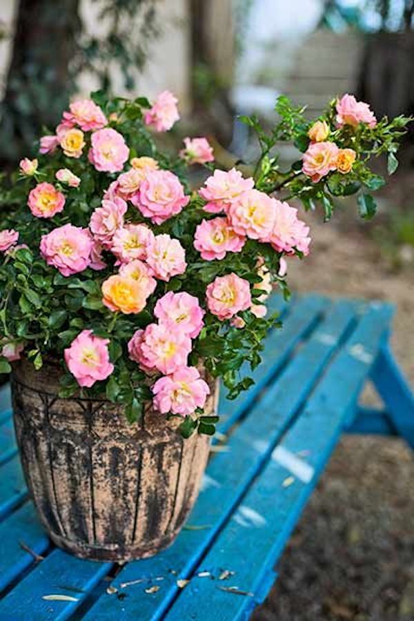 34 Beautiful ideas to decorate the yard and garden with colorful ...