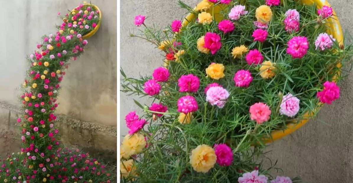 How to make a pleasing DIY flower waterfall in your garden from simple ...