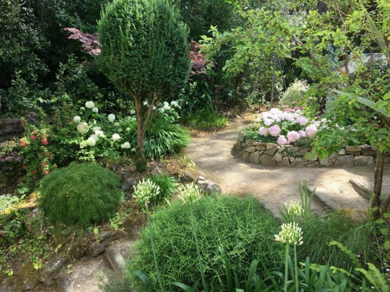 Design a maritime garden: 25 cool ideas & helpful tips | My desired home