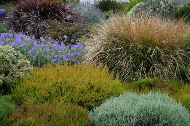 Design a maritime garden: 25 cool ideas & helpful tips | My desired home