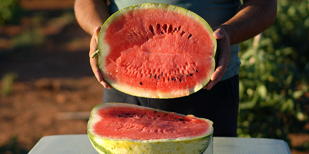 How to choose the best and most delicious watermelon | My desired home