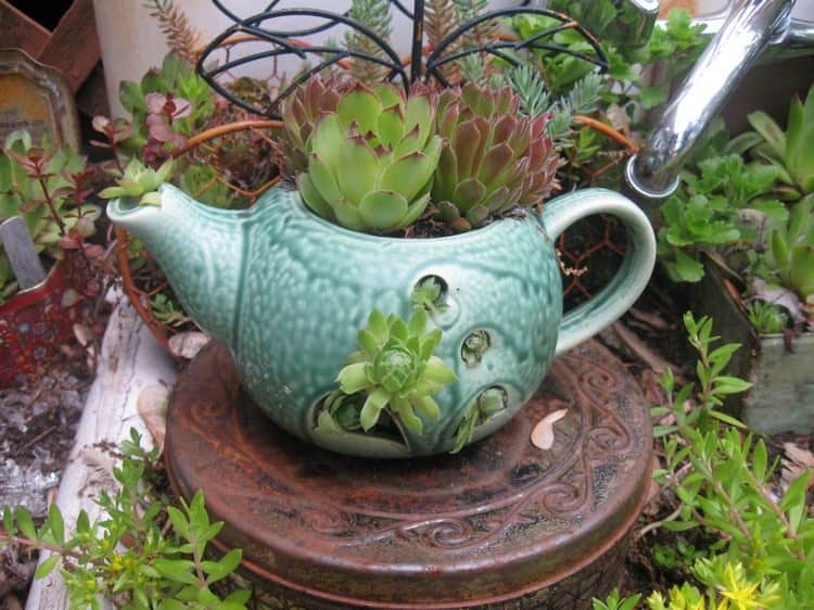 Old Teapot As A Garden Decoration 20 Original Upcycling Ideas To