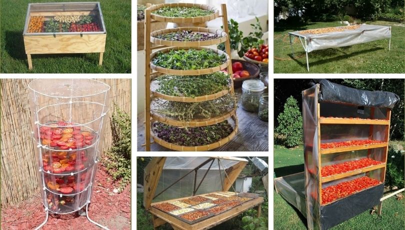 Sun-drying vegetables and fruits for long-term storage: 40 clever and ...