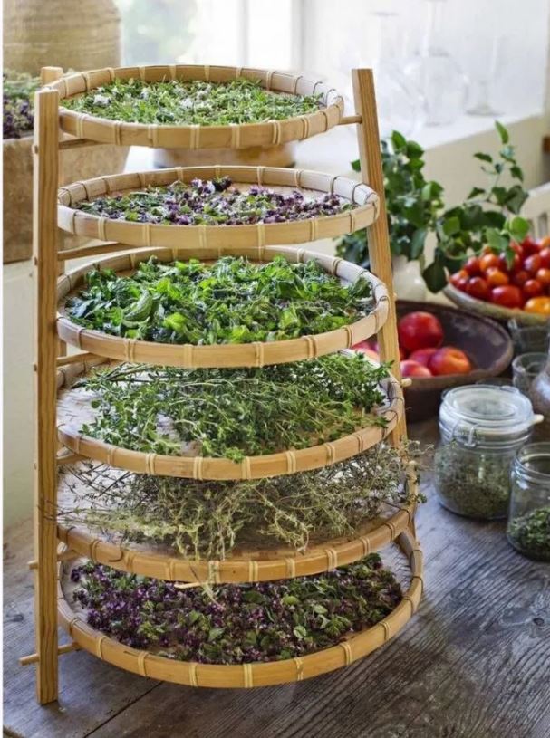 Sun-drying vegetables and fruits for long-term storage: 40 clever and ...