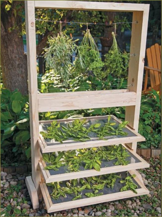 Sun-drying vegetables and fruits for long-term storage: 40 clever and ...