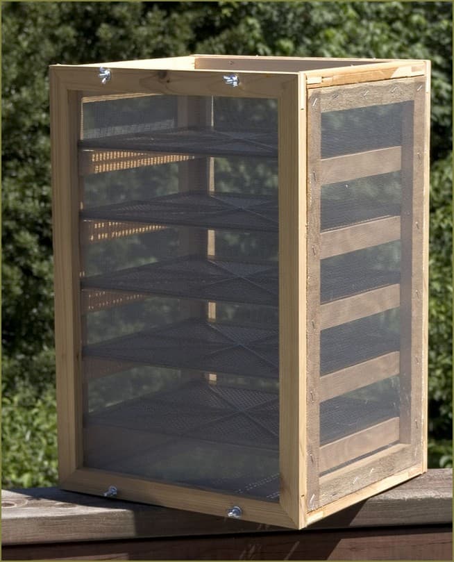 Sun-drying vegetables and fruits for long-term storage: 40 clever and ...
