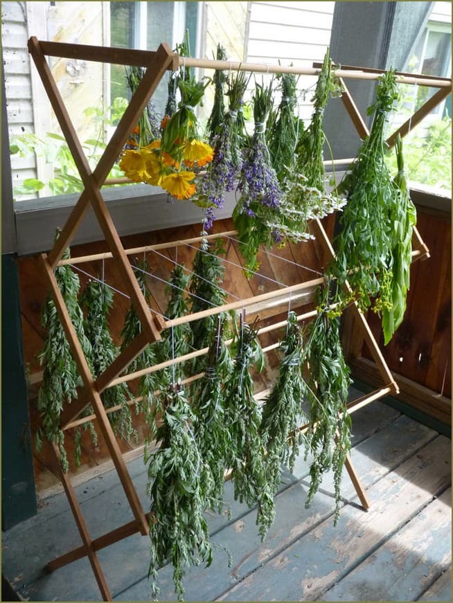 Sun-drying vegetables and fruits for long-term storage: 40 clever and ...