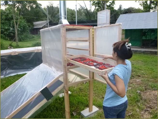 Sun-drying vegetables and fruits for long-term storage: 40 clever and ...