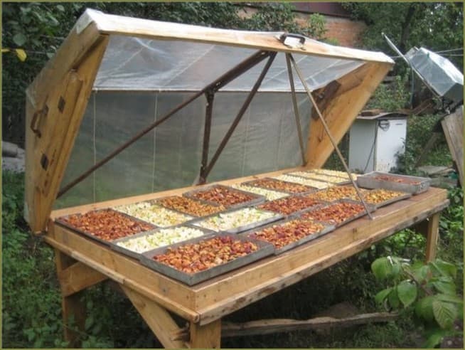 Sun-drying vegetables and fruits for long-term storage: 40 clever and ...