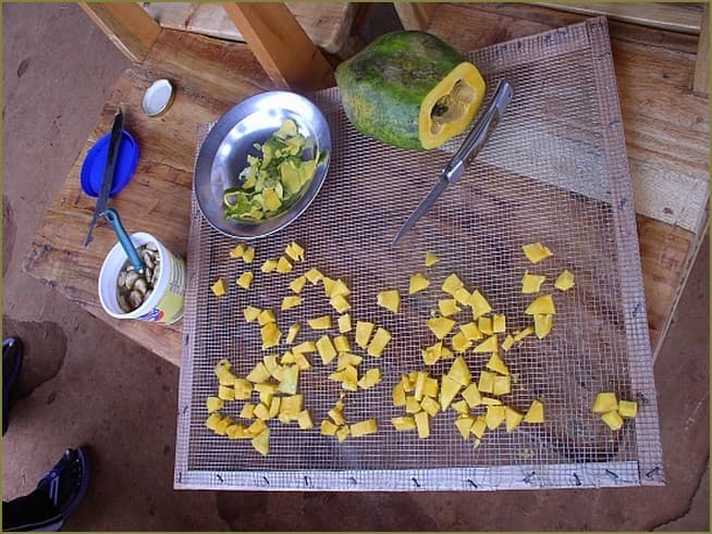 Sun-drying vegetables and fruits for long-term storage: 40 clever and ...