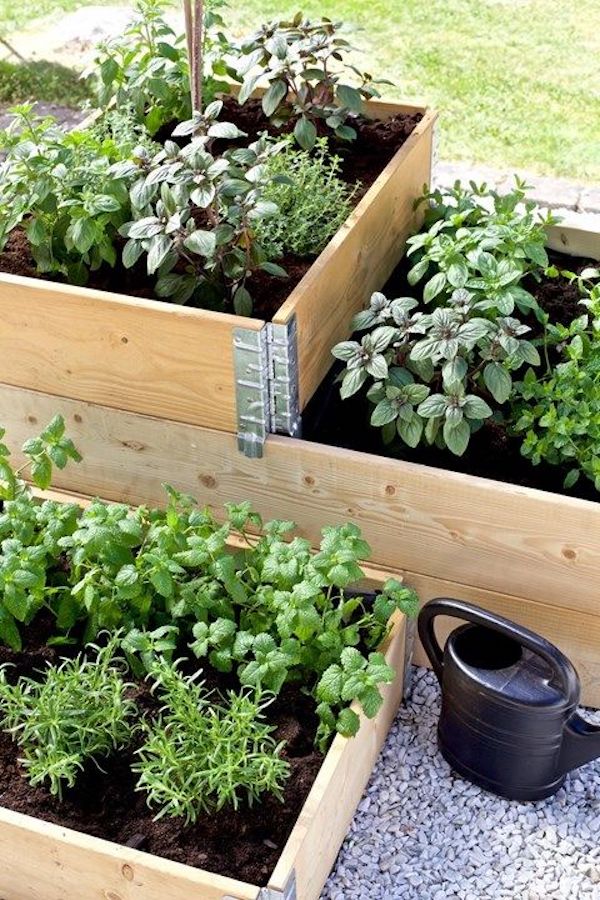 22 Great ideas with DIY vegetable beds for save space and enhance ...