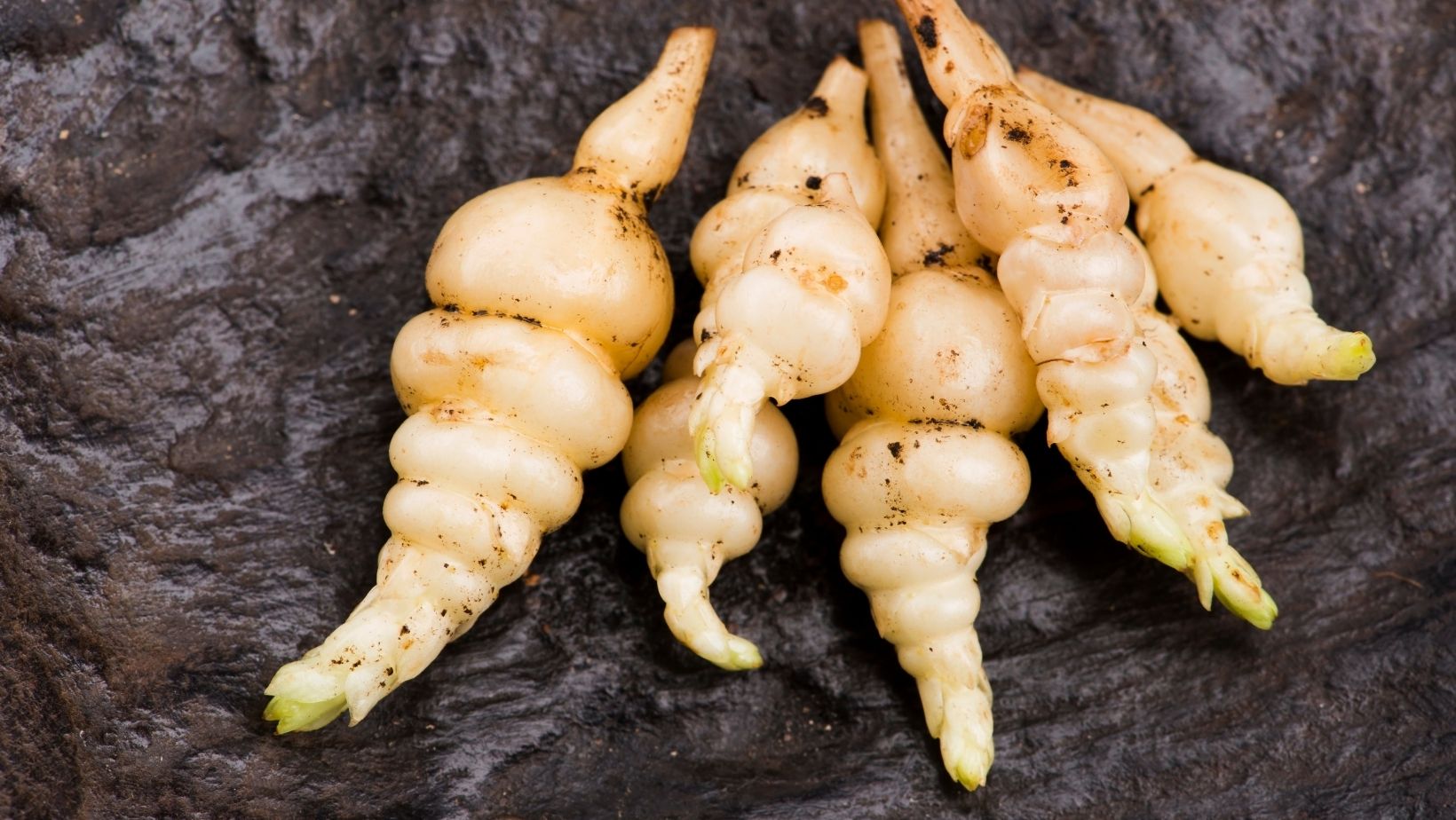 How to grow Crosnes: The chinese artichoke pearls in your vegetable ...