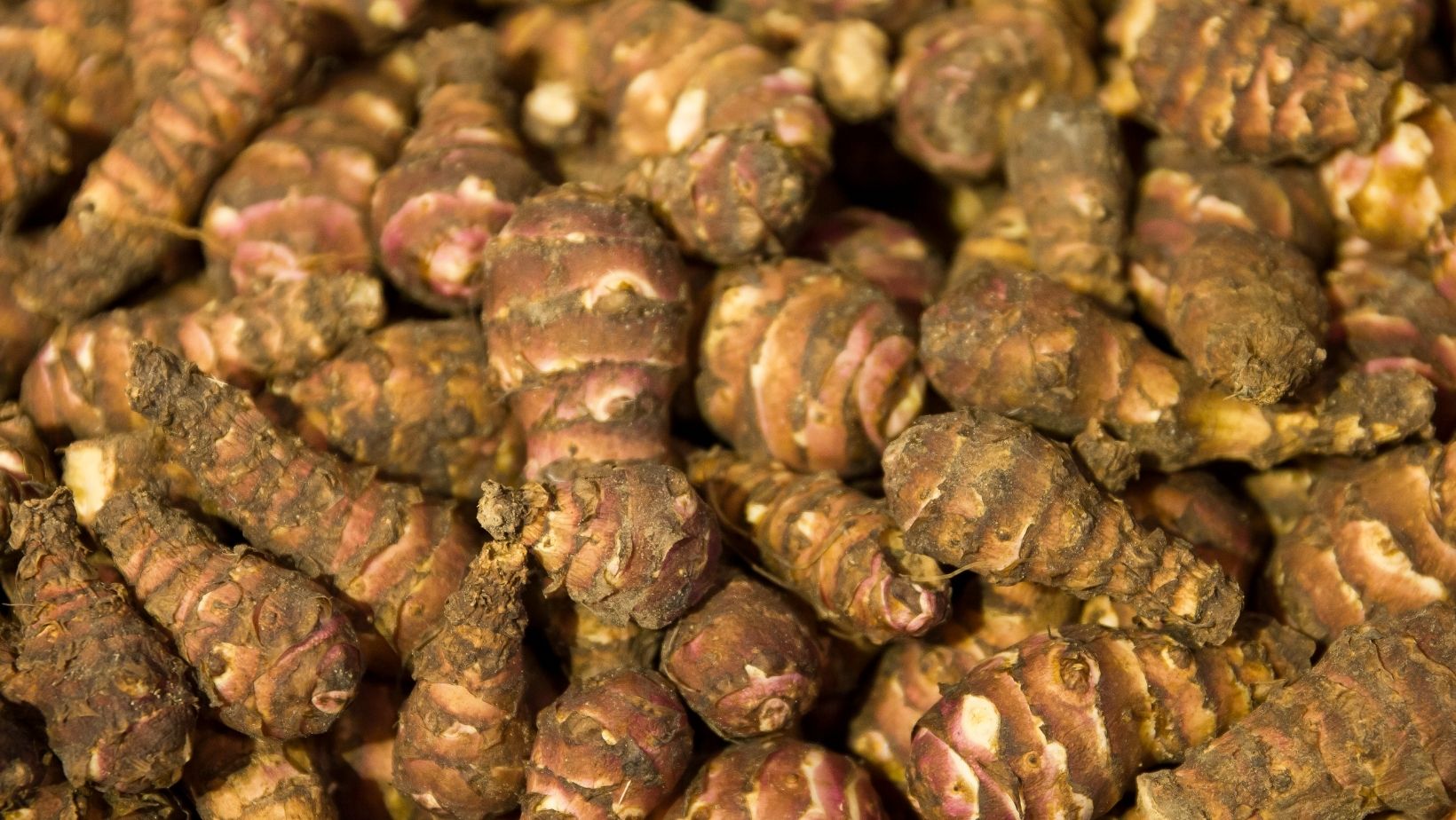 How to grow Crosnes: The chinese artichoke pearls in your vegetable ...