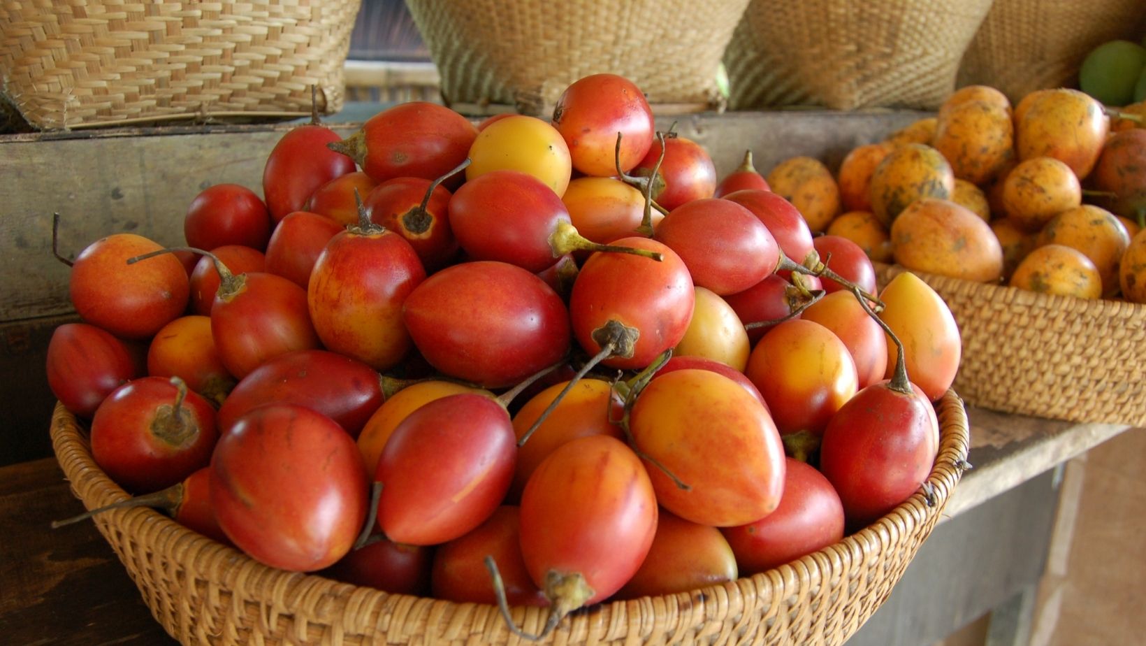Tamarillo, the exotic tomato tree in your pot and garden | My desired home