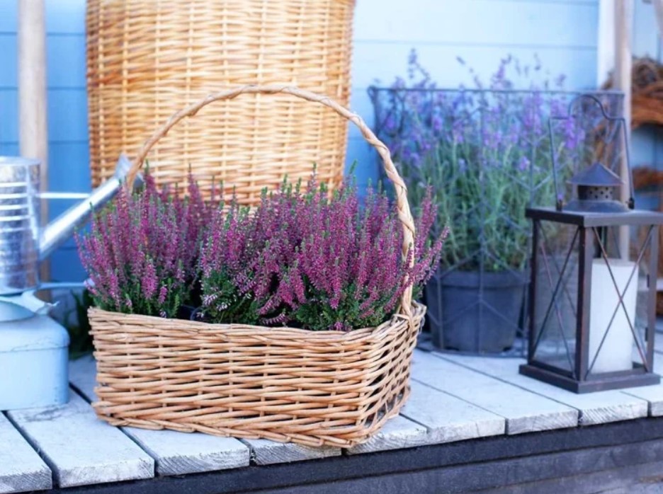 20 ideas for atmospheric autumn decorations on the terrace | My desired ...