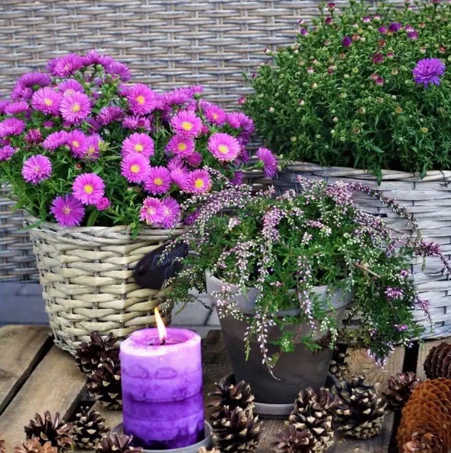 20 ideas for atmospheric autumn decorations on the terrace | My desired ...