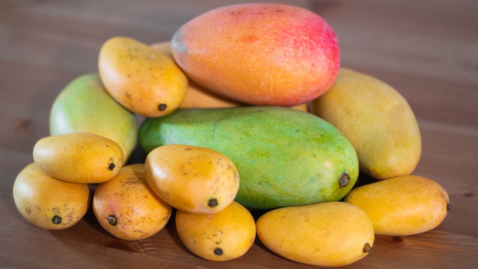 How can you grow mango yourself in your garden? Instructions for ...