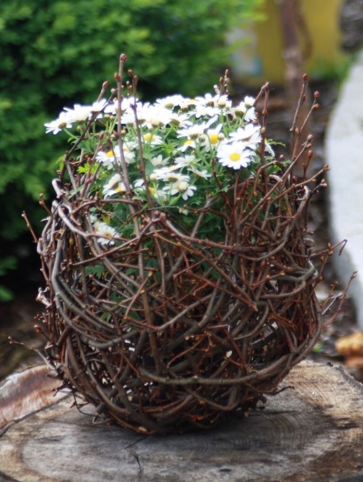 How to create beautiful natural DIY decorations for autumn and winter ...
