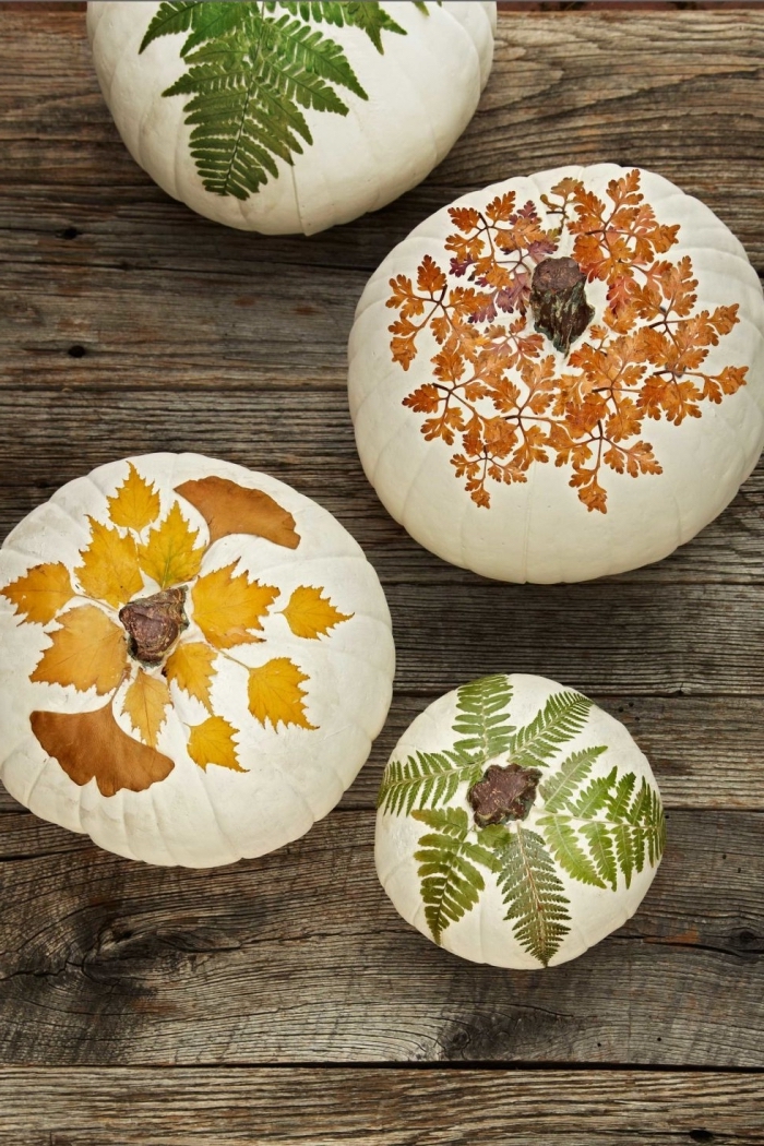 52 Amazing DIY pumpkin projects to make a fall or Halloween decoration ...