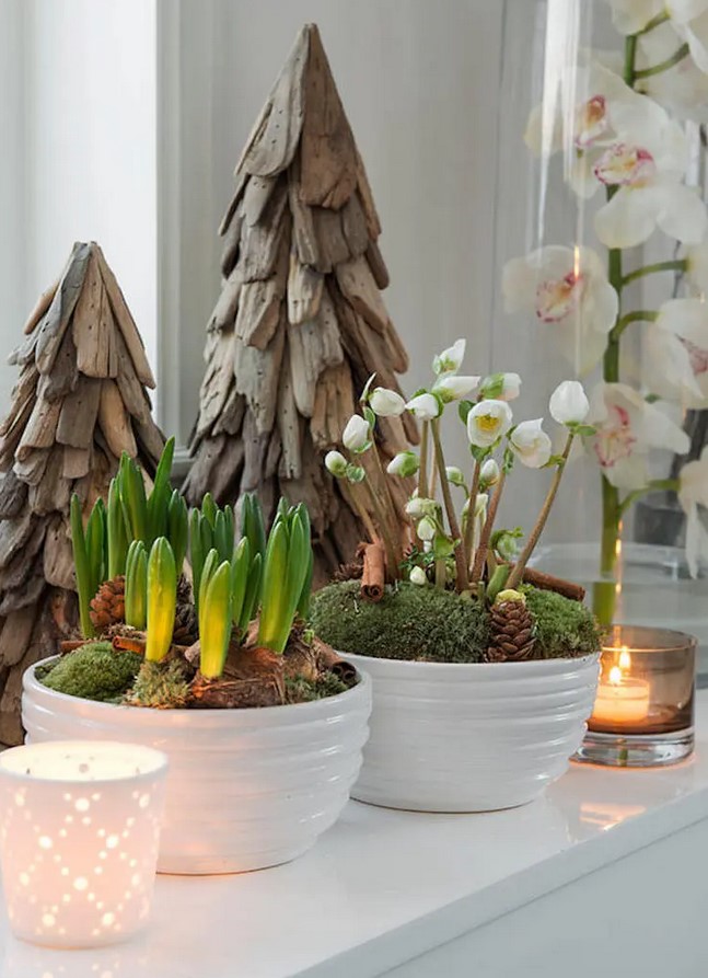 Christmas decorations with Christmas roses: Magical DIY ideas for the ...