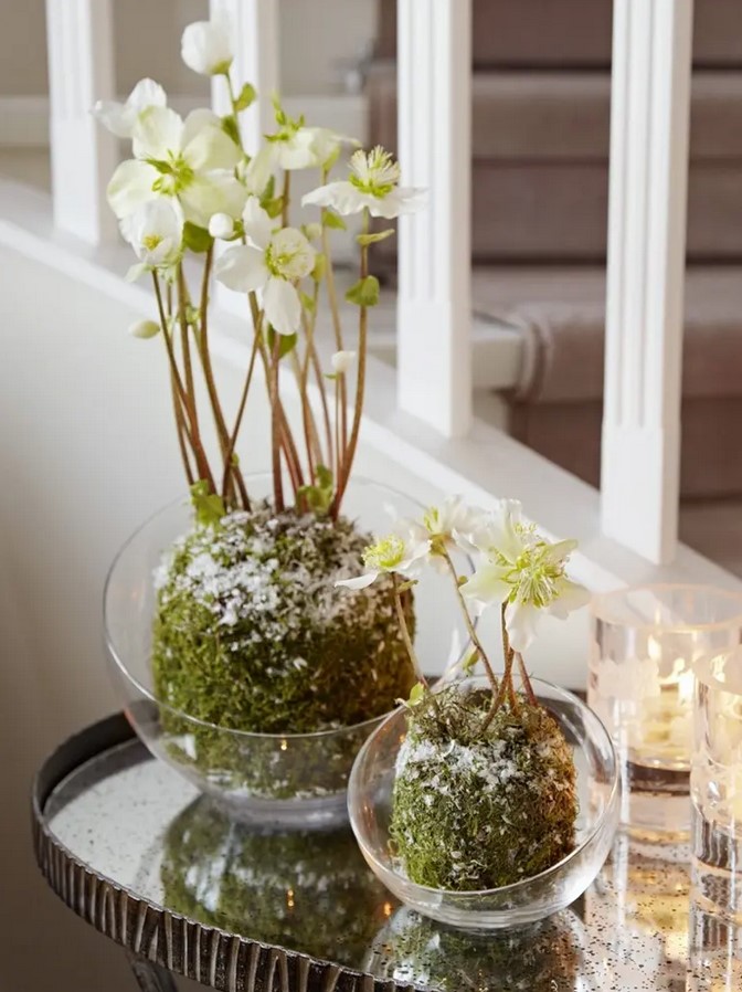 Christmas decorations with Christmas roses: Magical DIY ideas for the ...