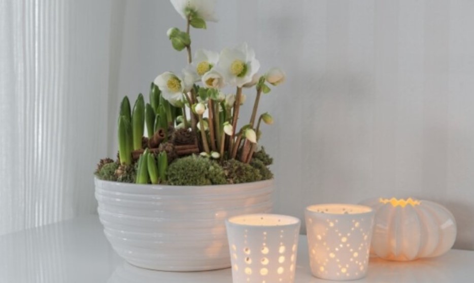 Christmas decorations with Christmas roses: Magical DIY ideas for the ...