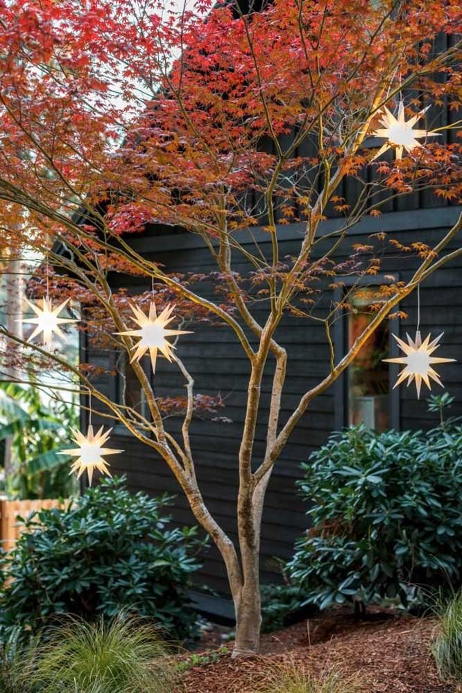 52 New great garden decorating ideas for Christmas that will boost the ...