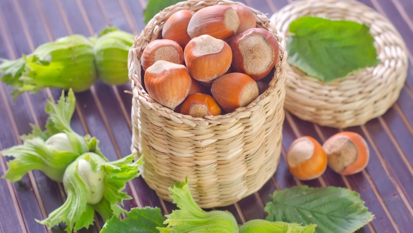 11 secrets for growing hazelnuts in your garden | My desired home