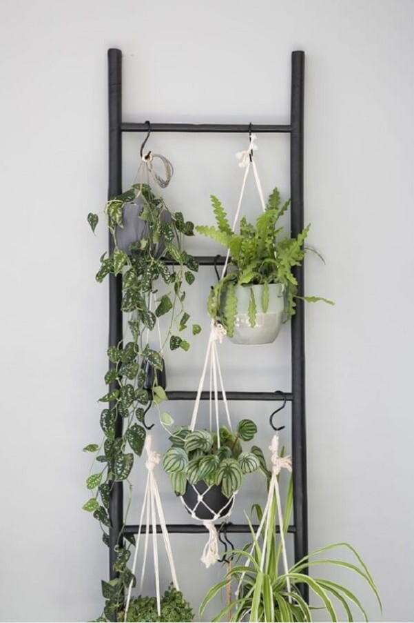 Decorative ladder: 50 ideas for decorating and organizing your home ...