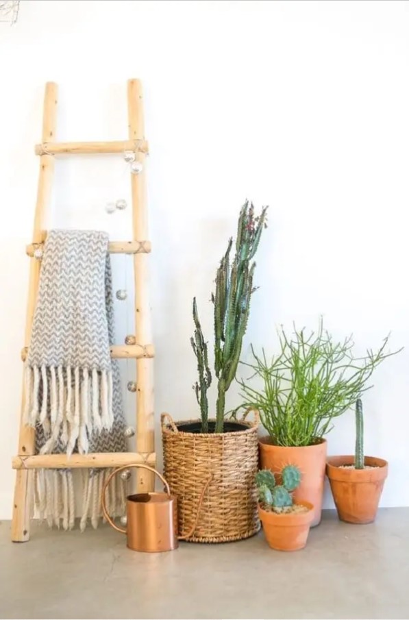 Decorative ladder: 50 ideas for decorating and organizing your home ...