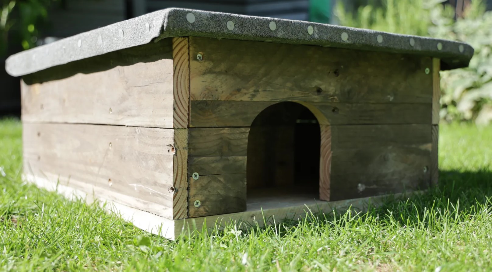How to build a house for a hedgehog: 20 DIY ideas for a private garden ...
