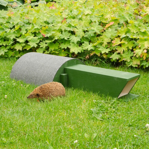 How to build a house for a hedgehog: 20 DIY ideas for a private garden ...