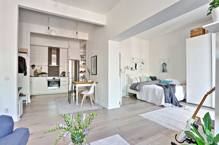 Kitchen in a studio: 40 ideas and golden rules for a successful design ...