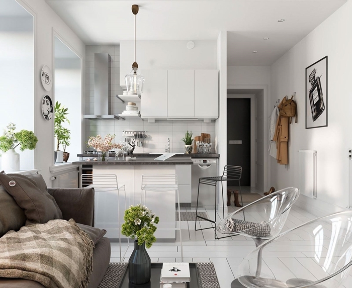 Kitchen in a studio: 40 ideas and golden rules for a successful design ...