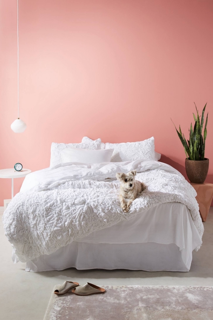 Refresh the walls of your home with the trendy powder pink color - 30 ...