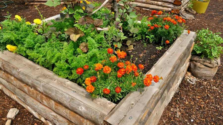 Make the most beautiful flower beds yourself - 39 inspirational ideas ...