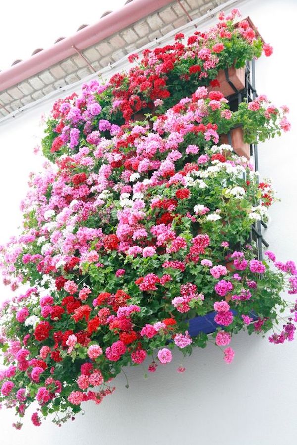 52 Beautiful ideas with dreamy flowers placed all over the house: doors ...