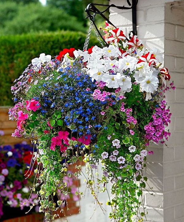 52 Beautiful ideas with dreamy flowers placed all over the house: doors ...