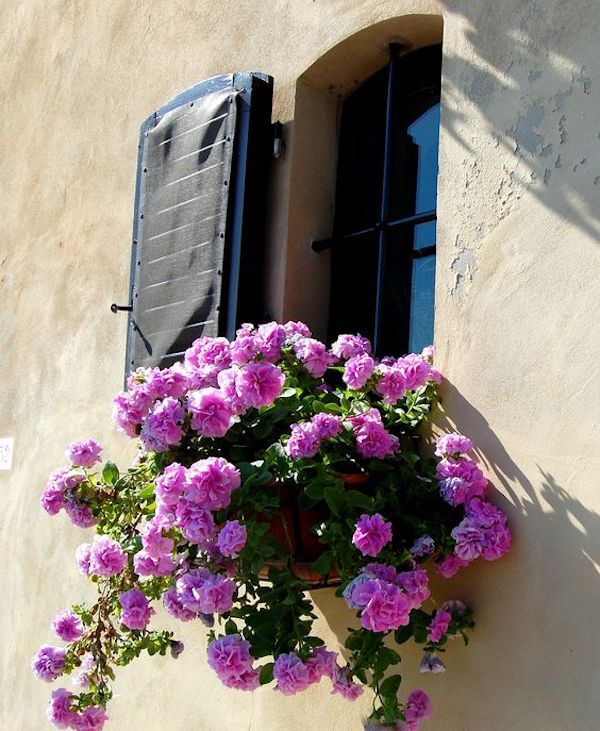 52 Beautiful ideas with dreamy flowers placed all over the house: doors ...