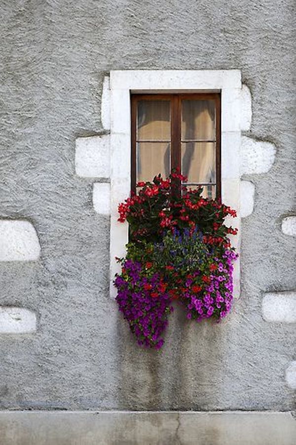 52 Beautiful ideas with dreamy flowers placed all over the house: doors ...