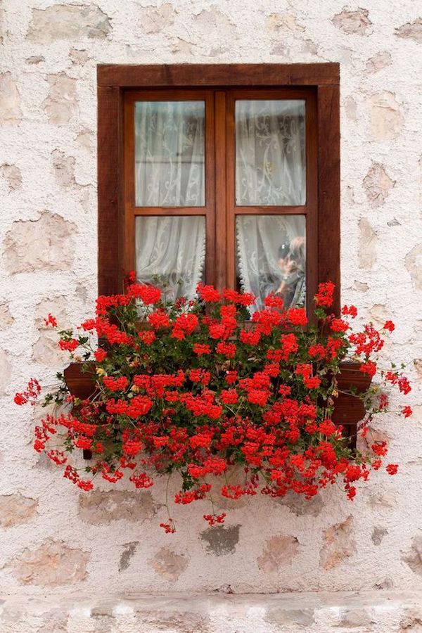 52 Beautiful ideas with dreamy flowers placed all over the house: doors ...