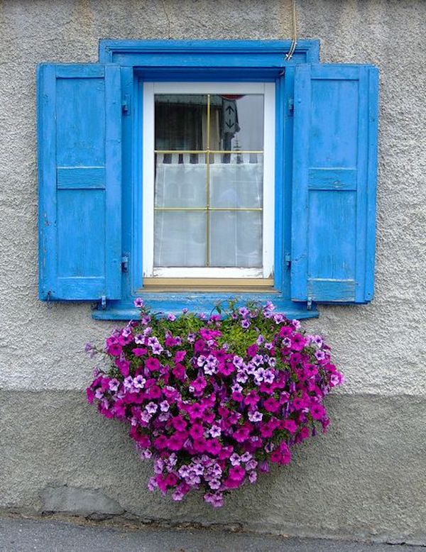52 Beautiful ideas with dreamy flowers placed all over the house: doors ...