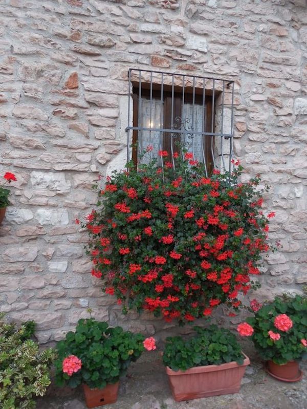 52 Beautiful ideas with dreamy flowers placed all over the house: doors ...