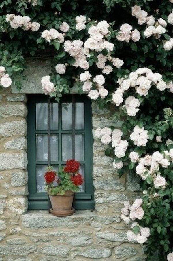 52 Beautiful ideas with dreamy flowers placed all over the house: doors ...