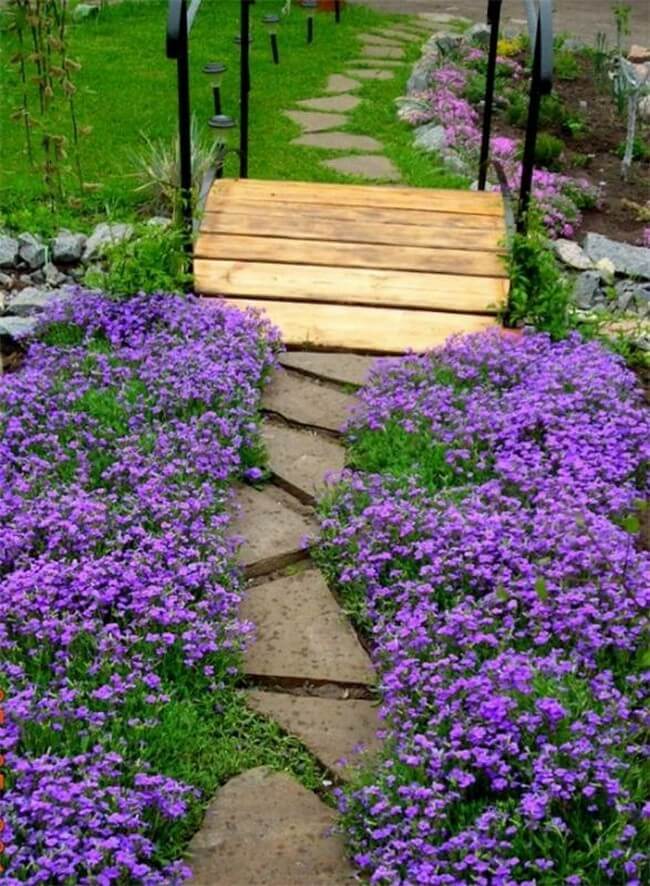 Ground Cover Flowers in a Country Bed: 40 Magical inspirational ideas ...
