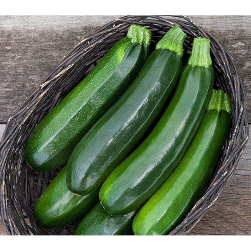 Zucchini, a delicious vegetable that is easy to grow in your garden ...
